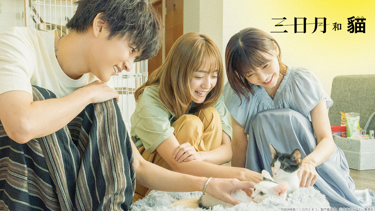 首頁 | 中華電信 MOD網站